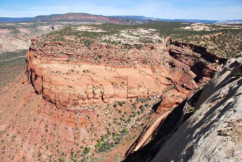 Northern Comb Ridge | Utah Road Trip 2011